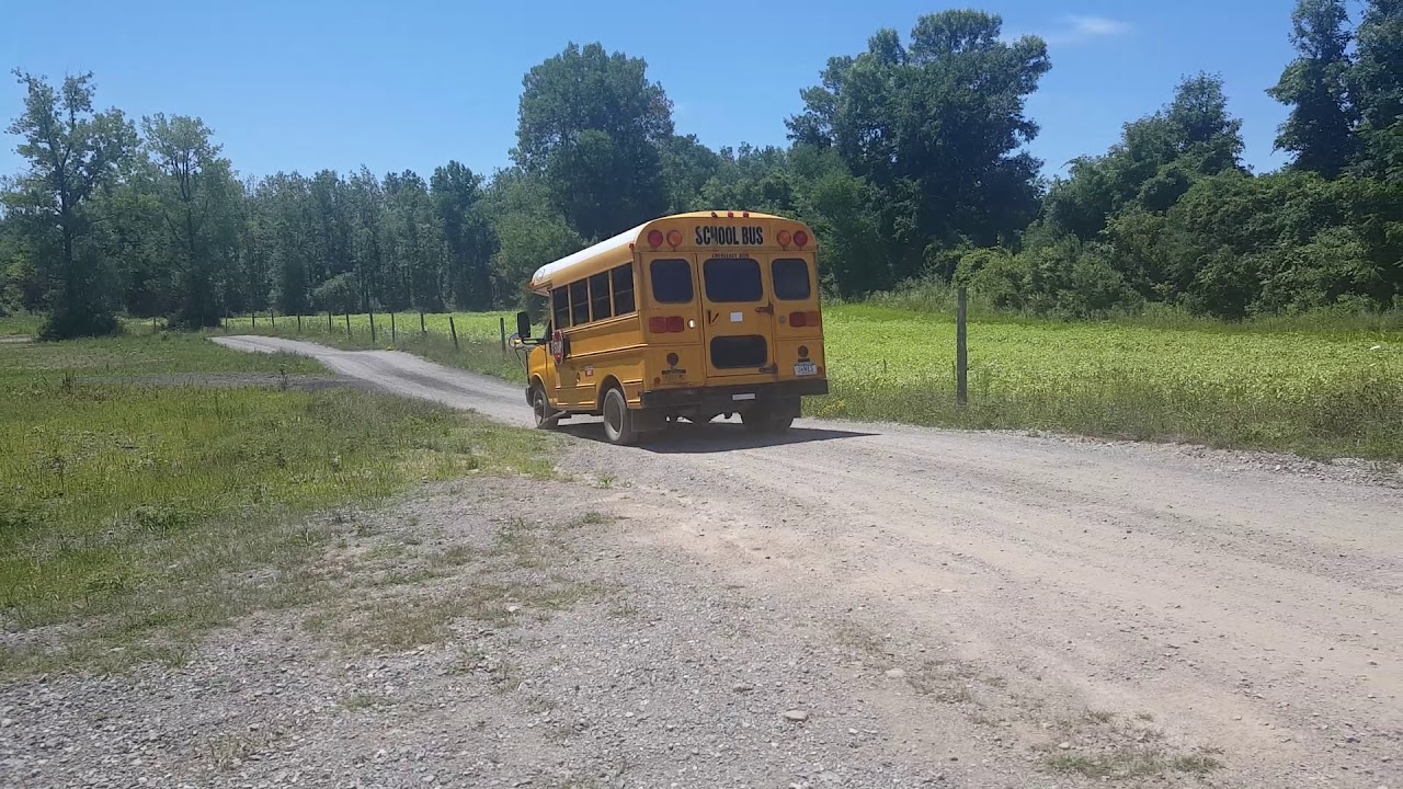 School Bus Backing Up