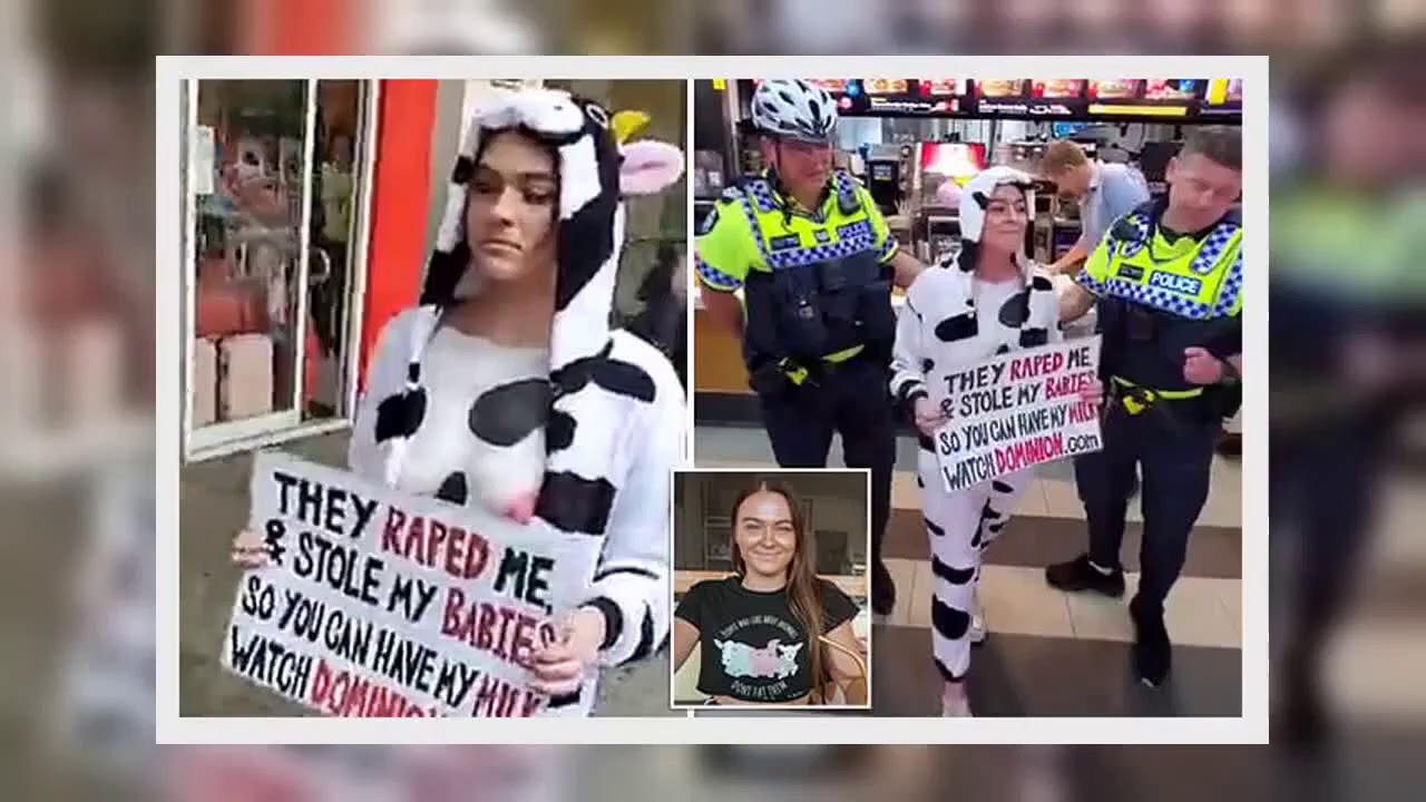 Vegan protester in a cow onesie ridiculed during a tense standoff with ...
