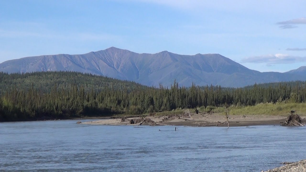 Pelly River 2015 Del 3 av 5. Med kano i Canadas villmark. - YouTube