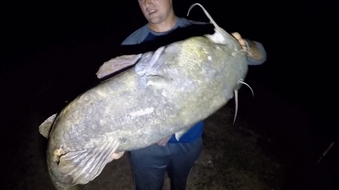 Chasing Moby Dick Channel Promo # 1 - YouTube