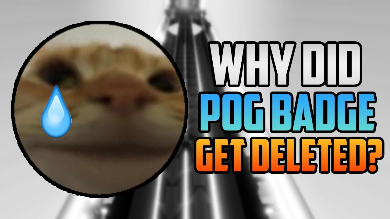 Why Did Pog Badge Get Removed From Slap Battles? - YouTube