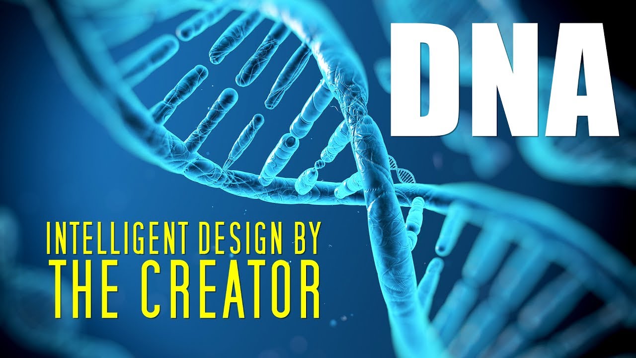 DNA Intelligent Design by The Creator - YouTube