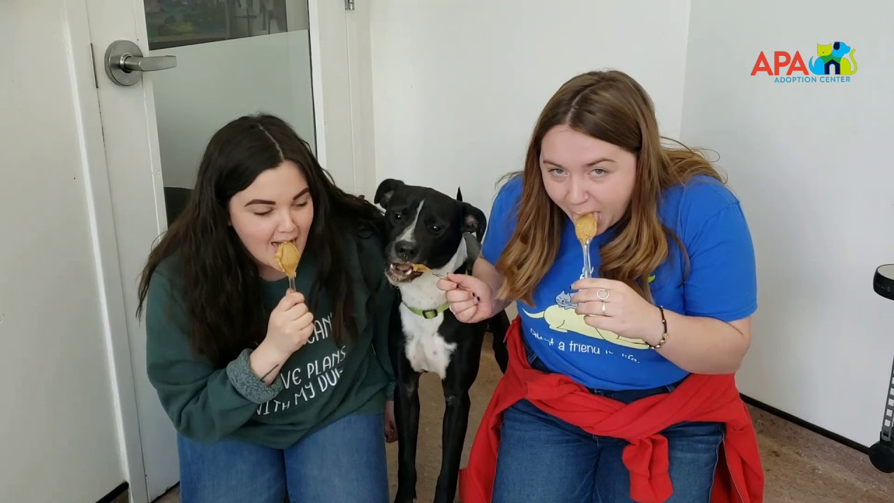 1st Annual Peanut Butter Eating Competition - YouTube