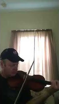 The old Gray cat - YouTube