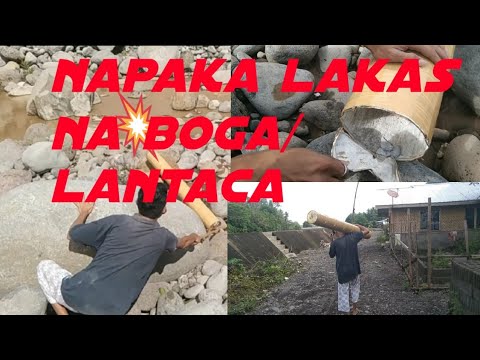 napaka lakas na lantaca/boga nabasag tuloy Ang lantaca namin - YouTube