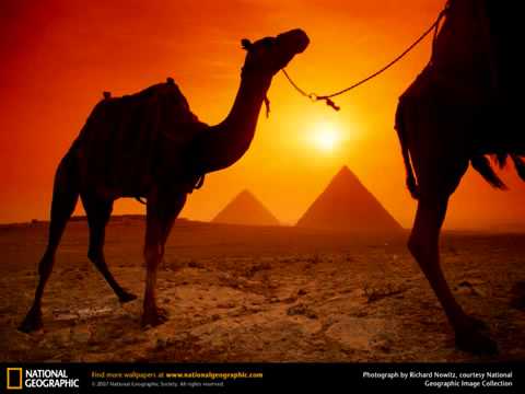 Oriental Angel - The Snake - YouTube