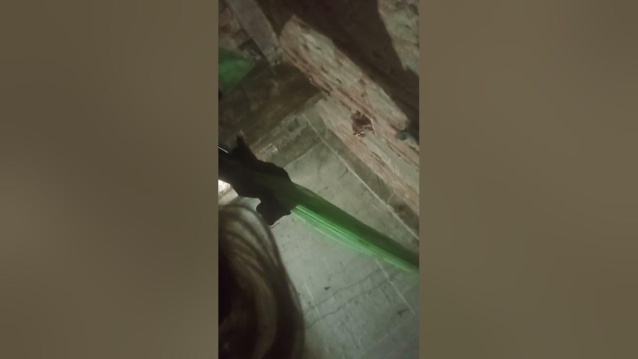 16 September 2024 - YouTube