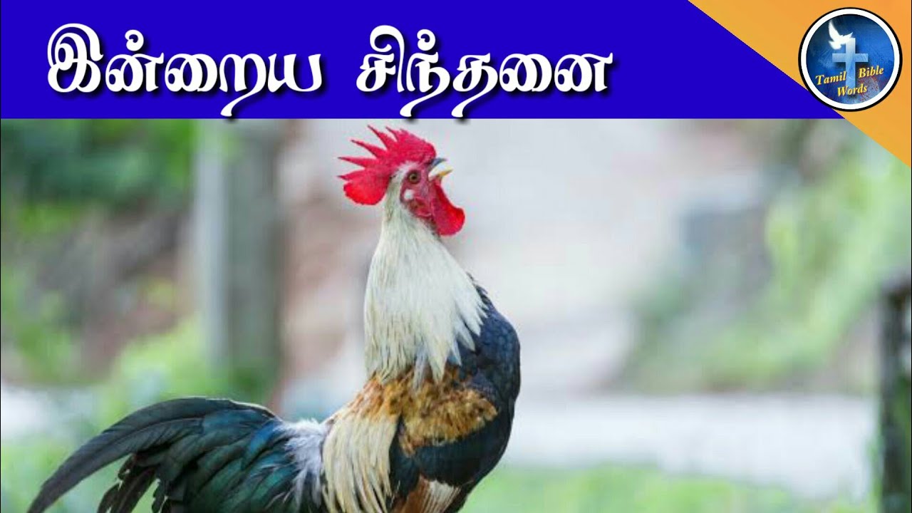 Thought for the day in tamil | இன்றைய சிந்தனை 180 | Indraya sinthanai ...