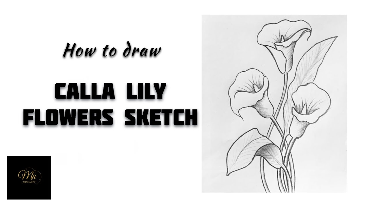 Calla Lily Flowers sketch || How to draw floral art #art - YouTube