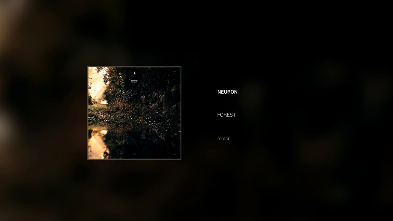 Neuron - Forest - YouTube