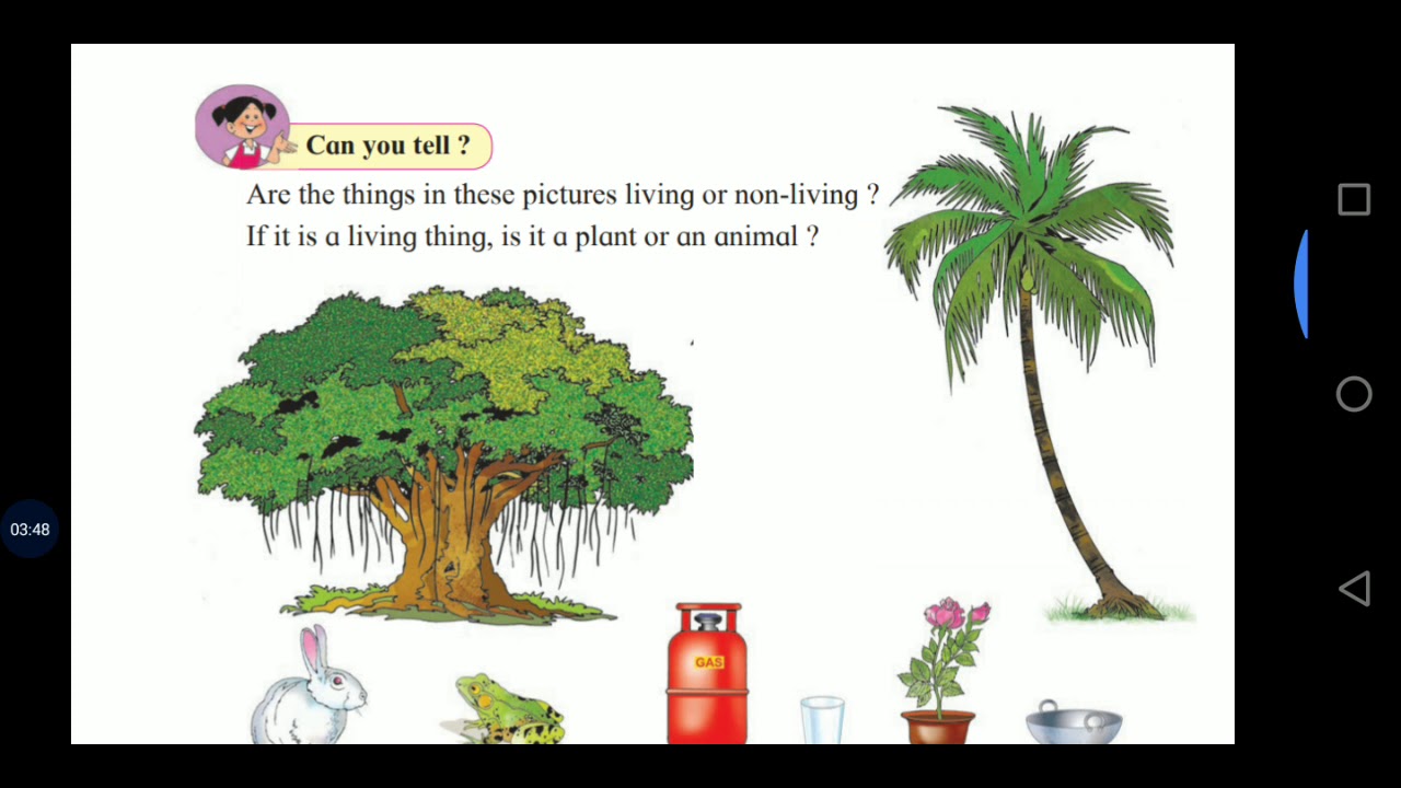 Lesson no 1:- Our Environment. Part:-2 (STD :-3rd) - YouTube