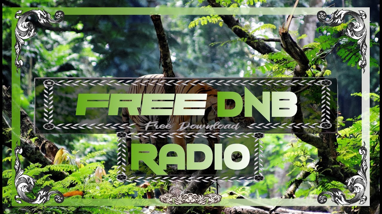 Free Dnb Radio In The Mix! - YouTube