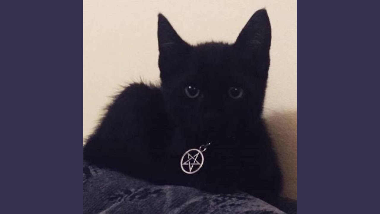 Last Time (feat. icemop) - YouTube