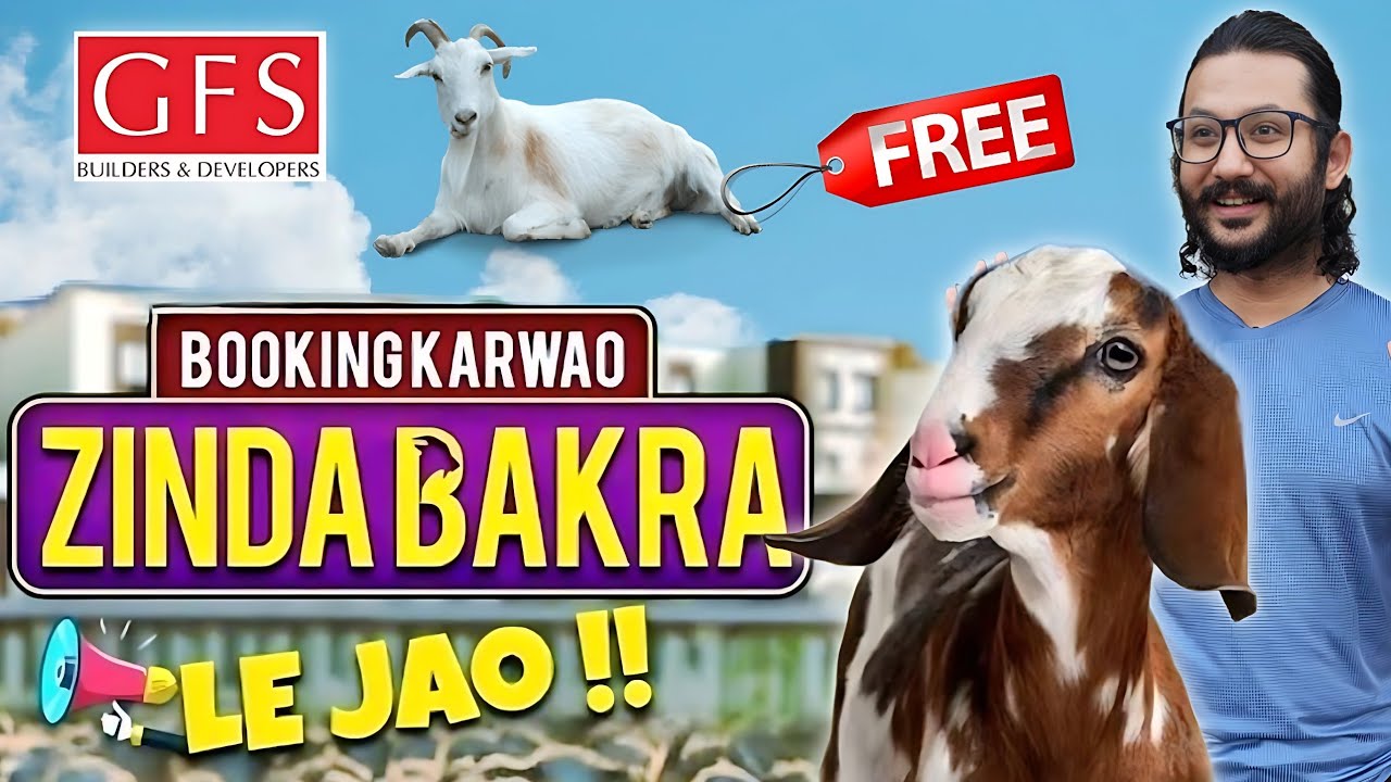 Get Free Bakra From GFS For Qurbani 🐐 😍 - YouTube