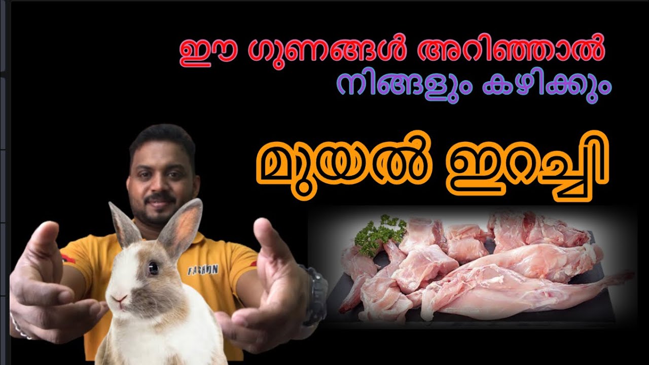 Benefits of Rabbit Meat | മുയൽ ഇറച്ചിയുടെ ഗുണങ്ങൾ #RabbitMeat # ...