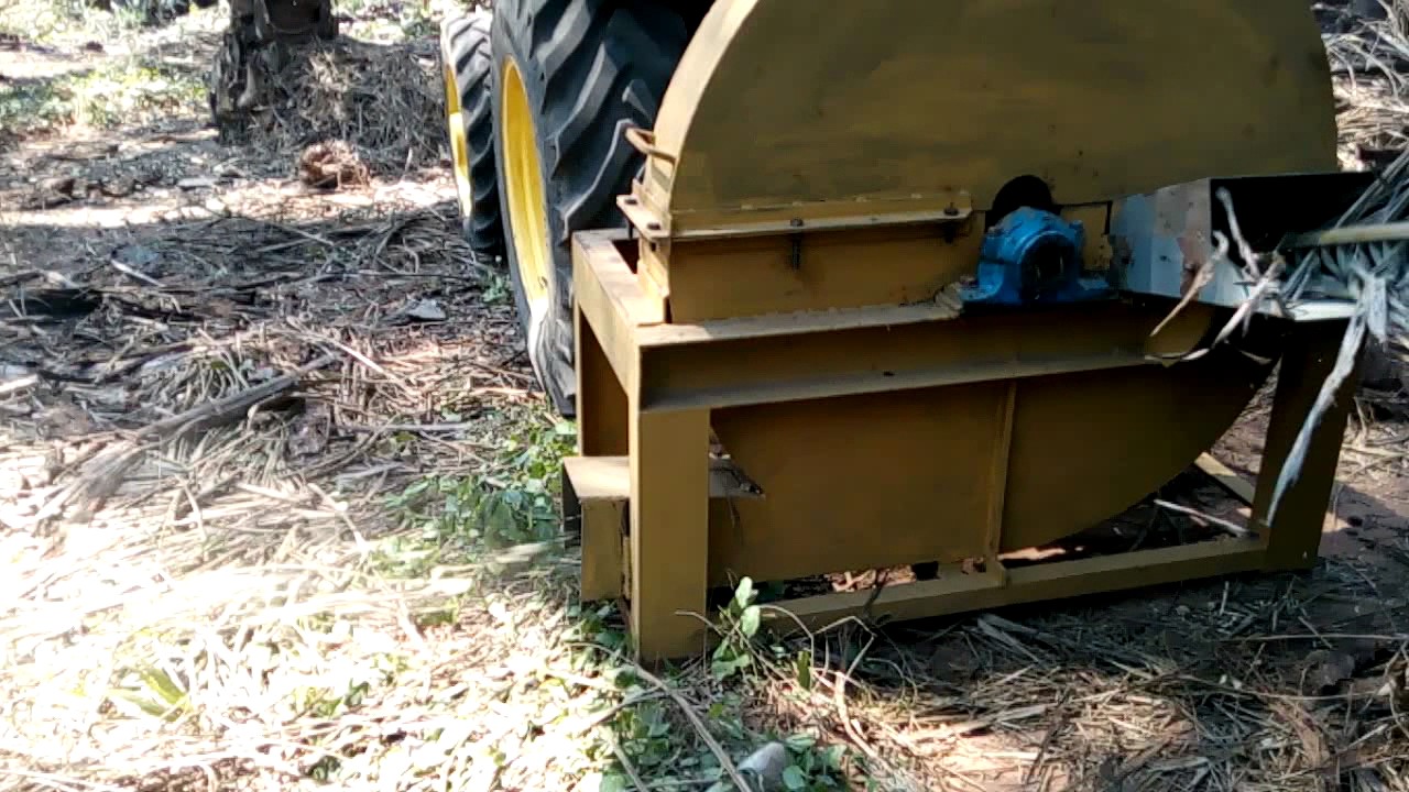 Palm oil leaf cutting - YouTube
