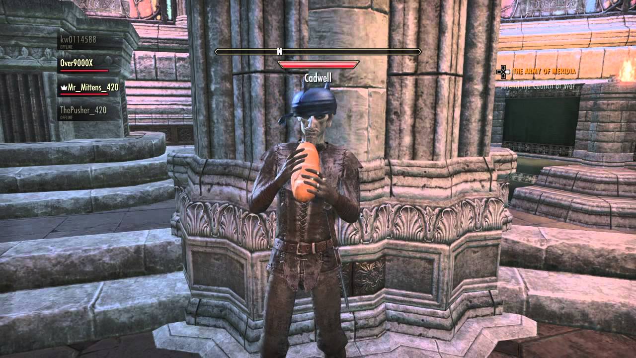 The Elder Scrolls Online: Tamriel Unlimited - Old man Eating bread ...