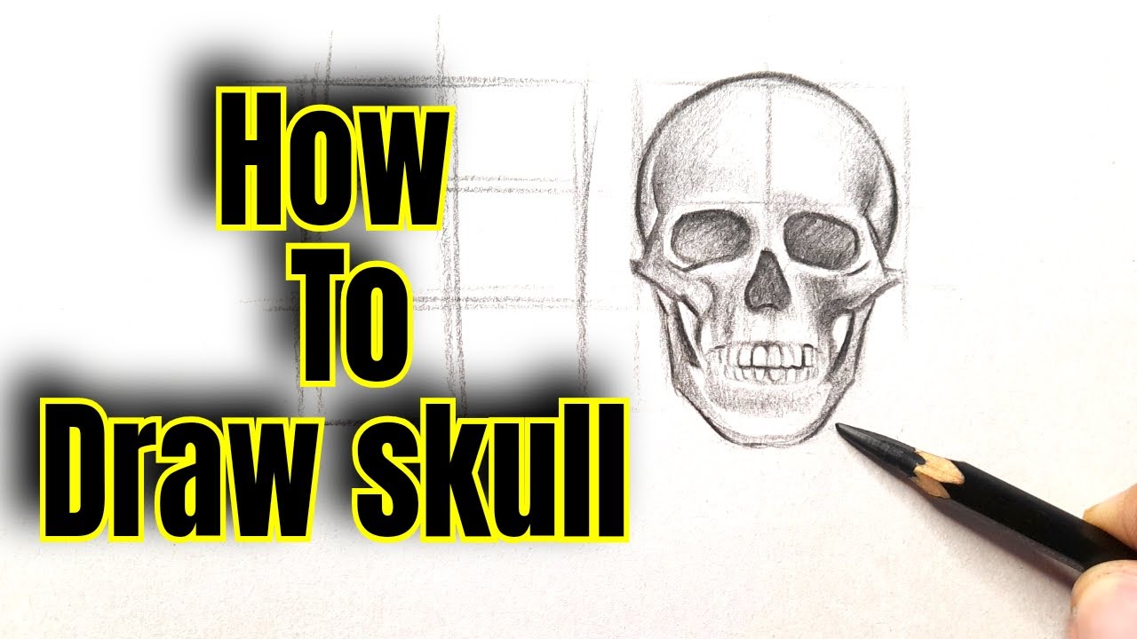 How to draw a Skull Front View Easy step by step | Drawing a Skull ...