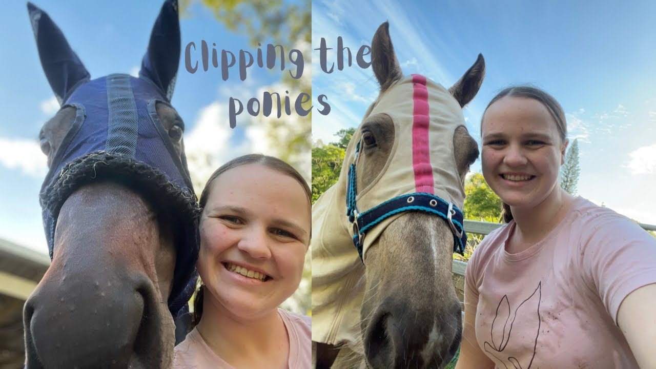 Clipping the ponies!!! | equestrianemmy | #equestrian - YouTube