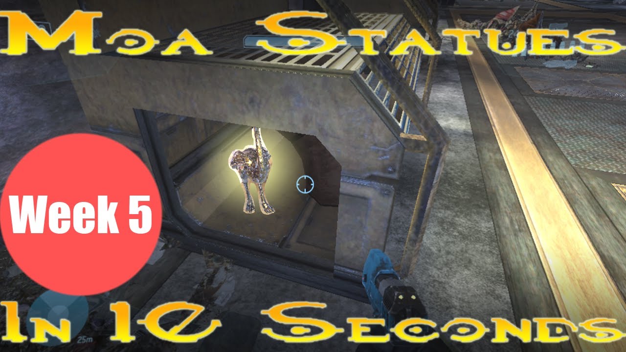 Week 5 Moa Locations! (Nov 10) - YouTube