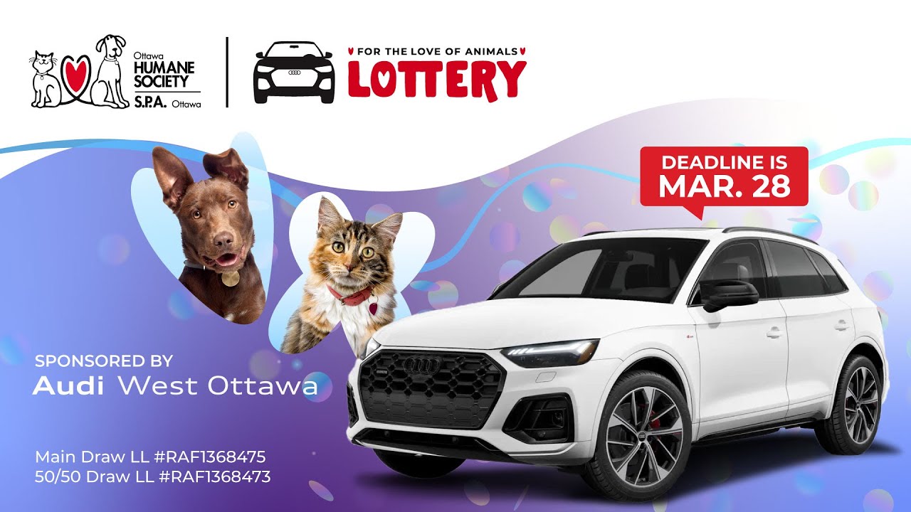 Last Chance To Help Ottawa's Animals! - YouTube