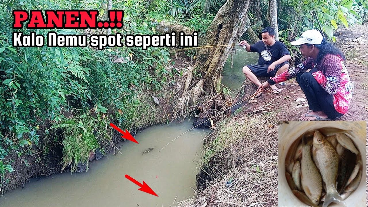 BERUNTUNG..!! MANCING NILEM SEHABIS HUJAN || MANCING DI SELOKAN - YouTube