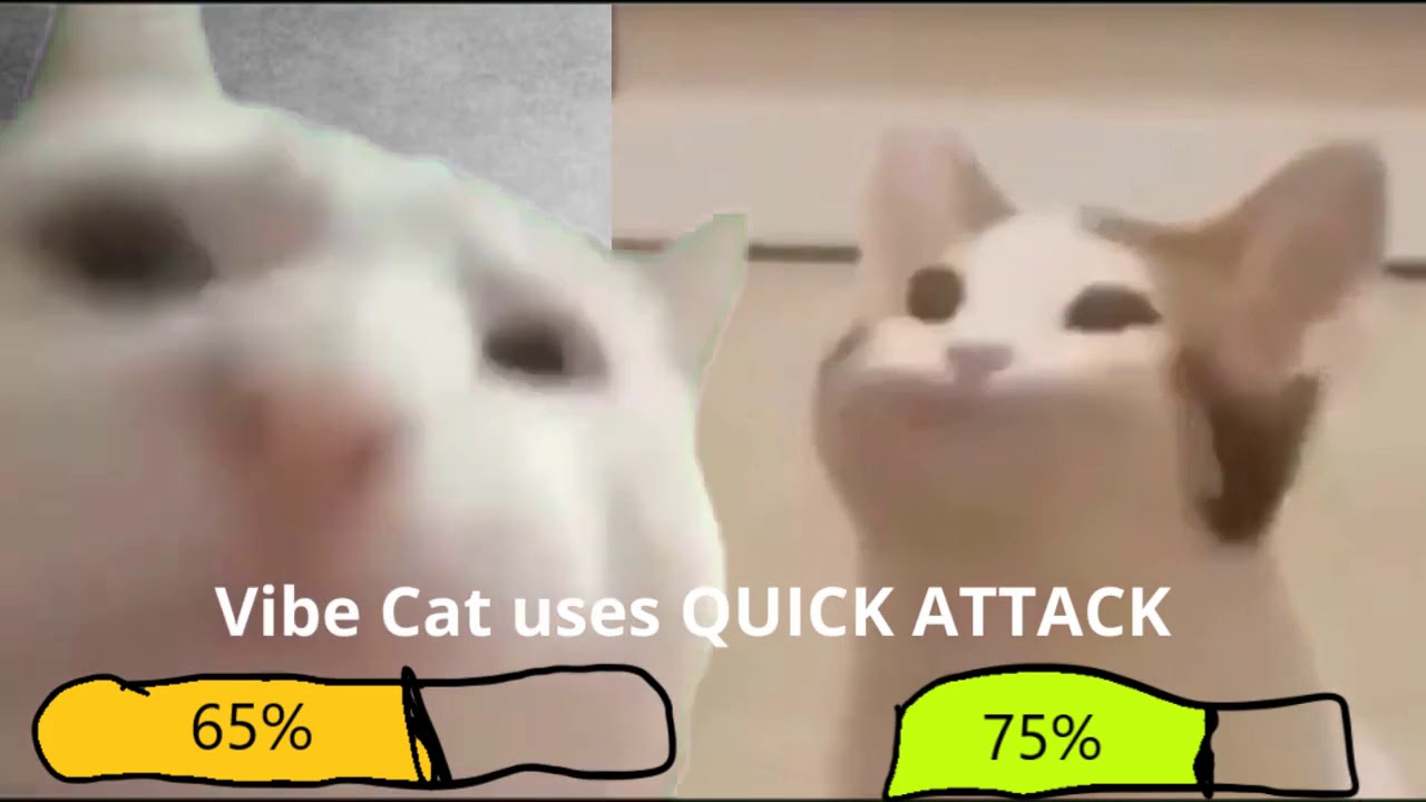 Vibe Cat vs Pop Cat - YouTube