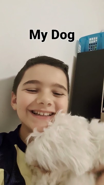 My Dog - YouTube