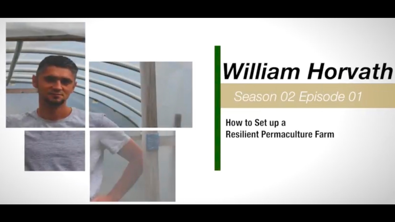 S02E01 - William Horvath - Questions and Answers - YouTube