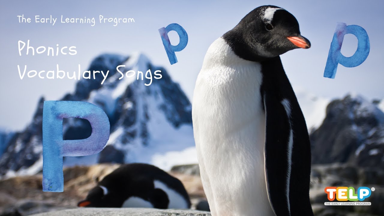 PHONICS LEVEL 1: THE "P" Phonics Song - YouTube