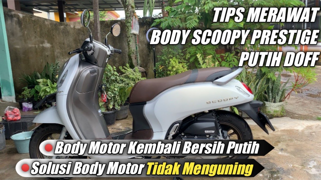 Tutorial - Cara merawat body scoopy putih doff prestige agar tidak ...