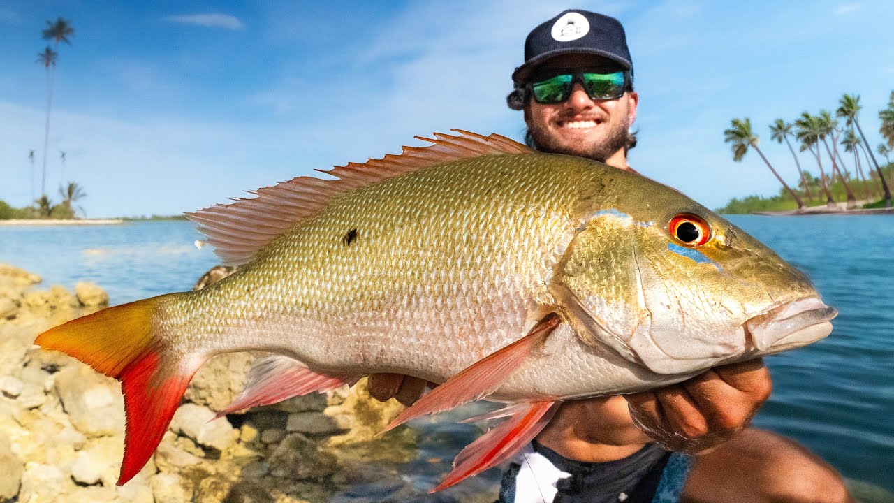 96 Hrs Shore Fishing For MOST EXPENSIVE Fish! - YouTube