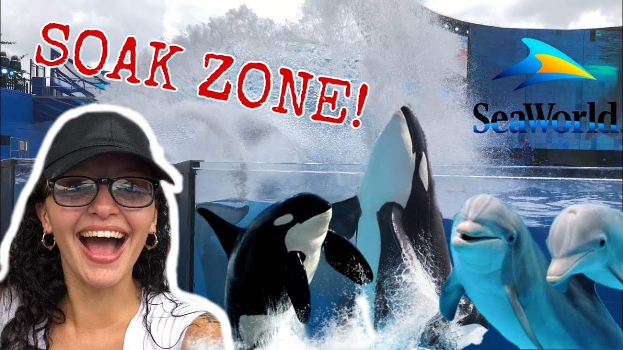SITTING ON THE SOAK ZONE AT SEAWORLD!! - YouTube