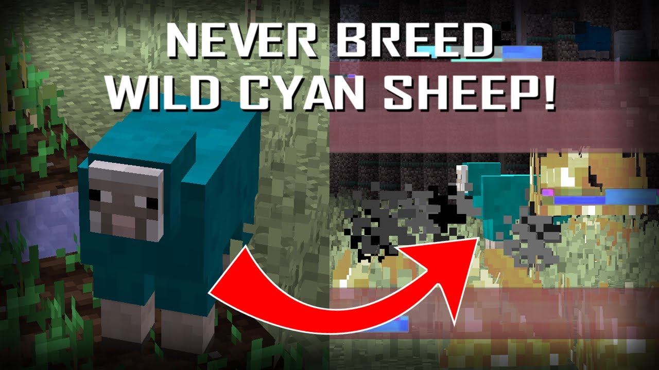 Don't Breed Wild Caught Cyan Sheep Unless Your Want This To Happen To You! Minecraft Creepypasta ...