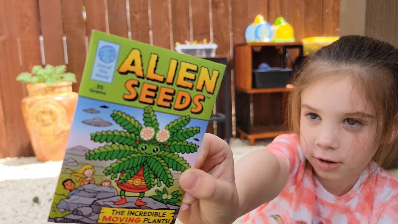 Alien Seeds 👽 Plants that Move! MIMOSA PUDICA - YouTube