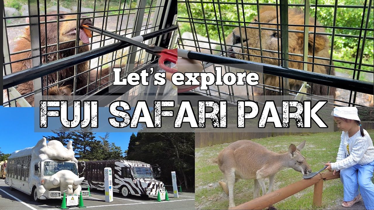 Japan Travel Vlog: Let’s Explore Fuji Safari Park - YouTube