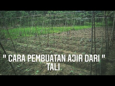 CARA MEMBUAT AJIR TANAMAN DARI TALI || HEMAT KAYU || PERTANIAN ...