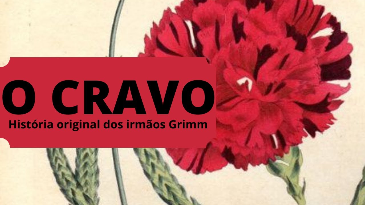O cravo — Conto/história original dos irmãos Grimm - YouTube