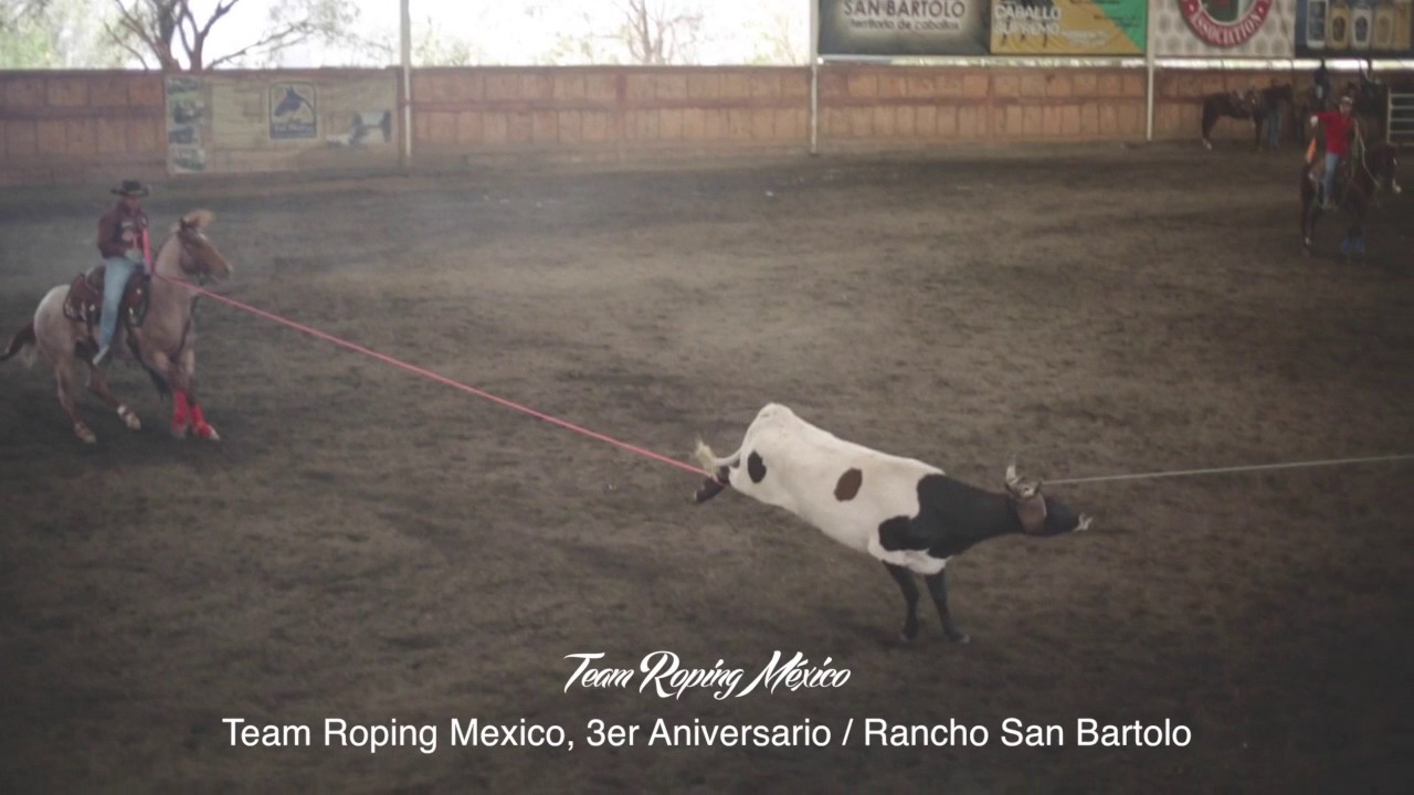 Team Roping Mexico - 3er aniversario - YouTube