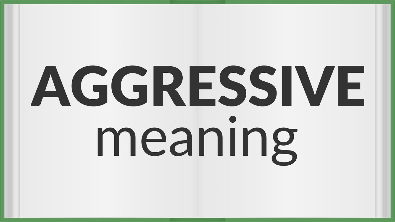 Aggressive Meaning Of Aggressive YouTube aggressive-meaning-of-aggressive-youtube