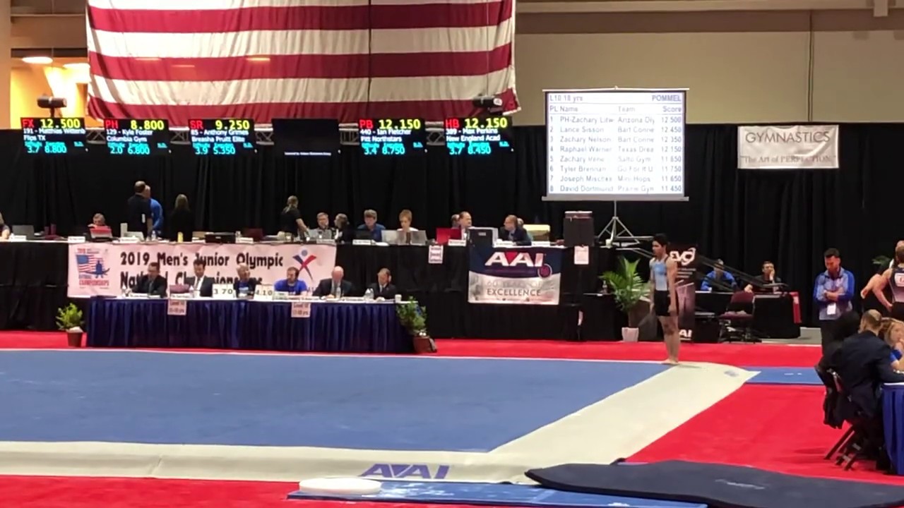 Nicolas Fardet 2019 USAG National Championships JO Level 10 (15 yr) FX ...