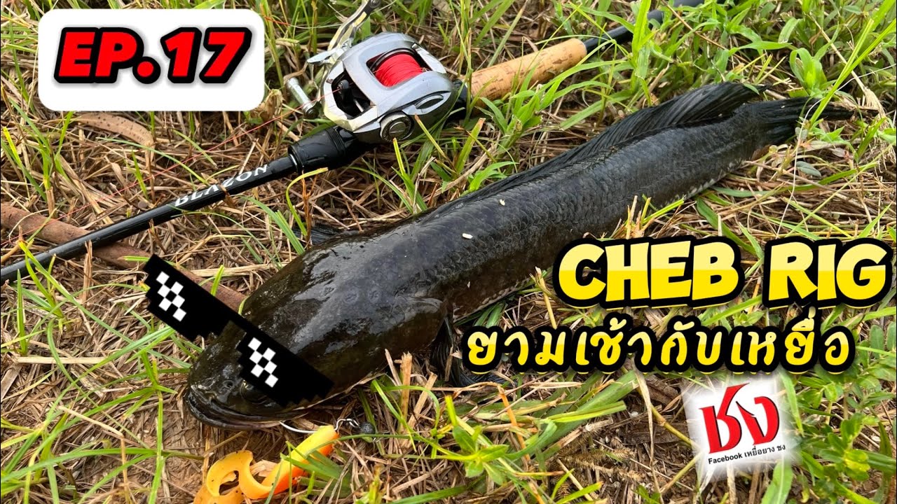Cheb Rig ยามเช้ากับเหยื่อยางชงหางคู่ EP.17 | R'Chart Suchart - YouTube
