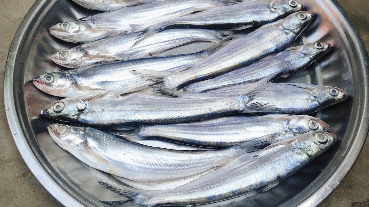 How to make Bachawa fish Curry || Machhali banane ka Sabse asan tarika ...