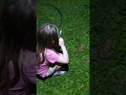 Frog attack - YouTube