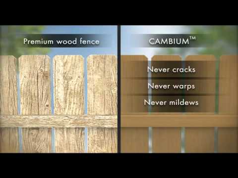 Cambium® Technology - YouTube