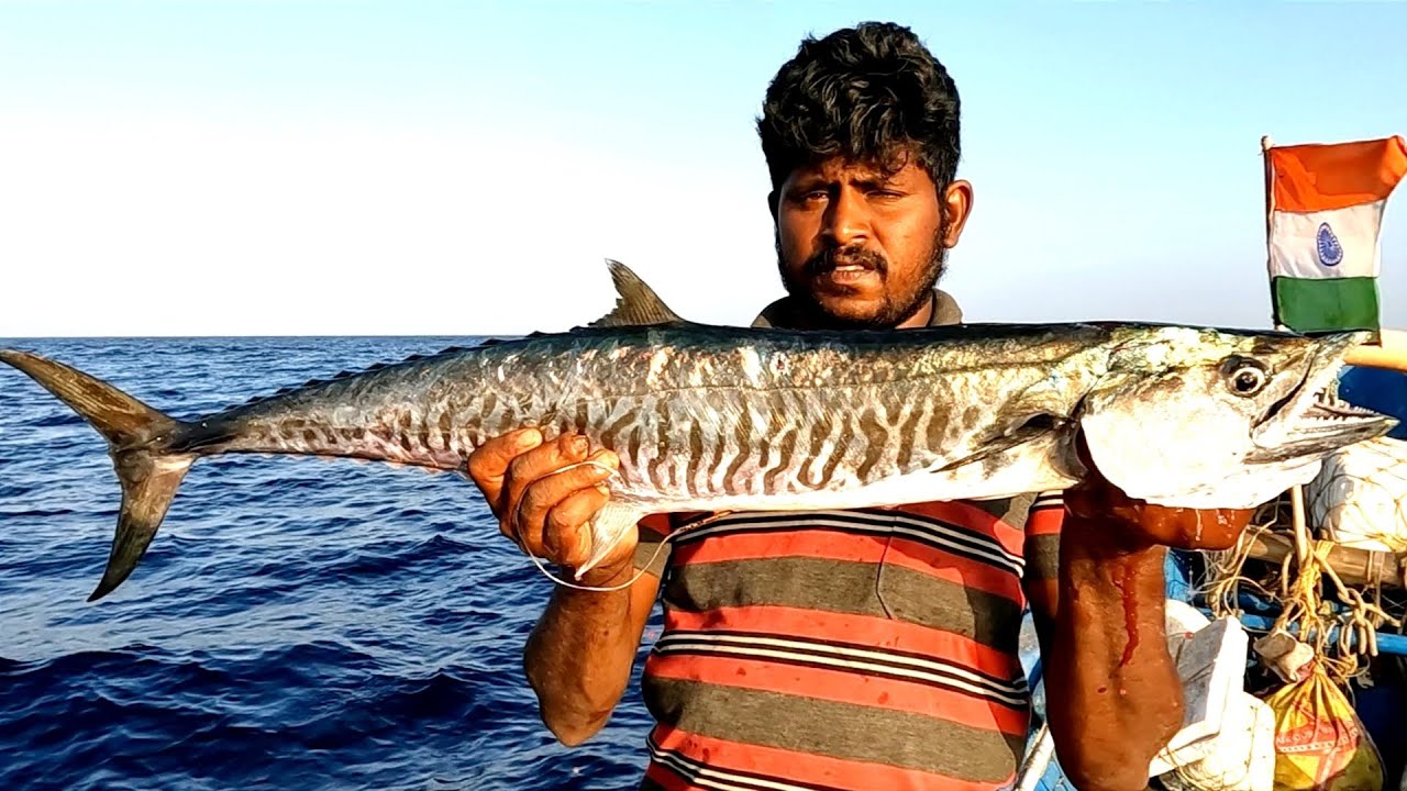Catching King Fish, Horse-eye Jack & Tarpon Fish in the Deep Sea - YouTube