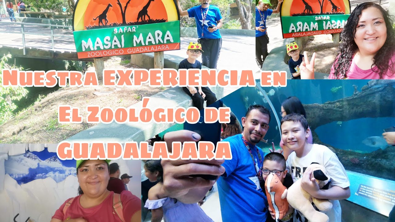 Nuestra EXPERIENCIA en El Zoológico de GUADALAJARA #zoológico - YouTube