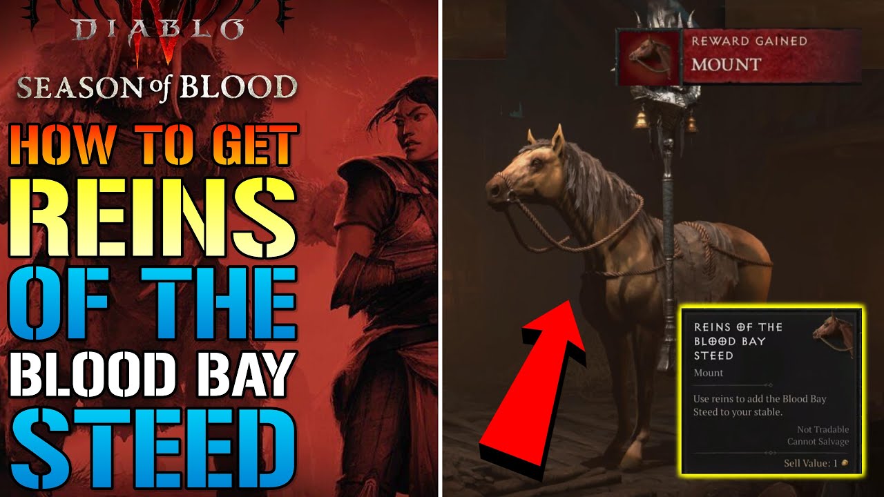 Diablo 4: "Reins Of The Blood Bay Steed" Mount! How To Get This TODAY ...