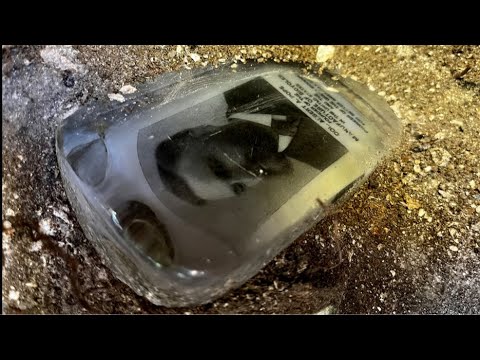 Live New York Dig day 3 unedited - YouTube