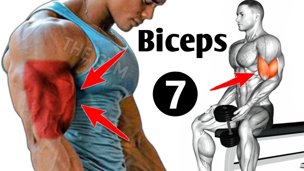 7 Super Exercises to Get Bigger Biceps Workout at Gym - YouTube